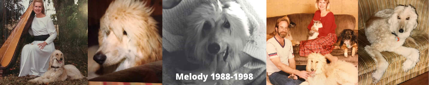 Melody’s | Information – Folk Harp