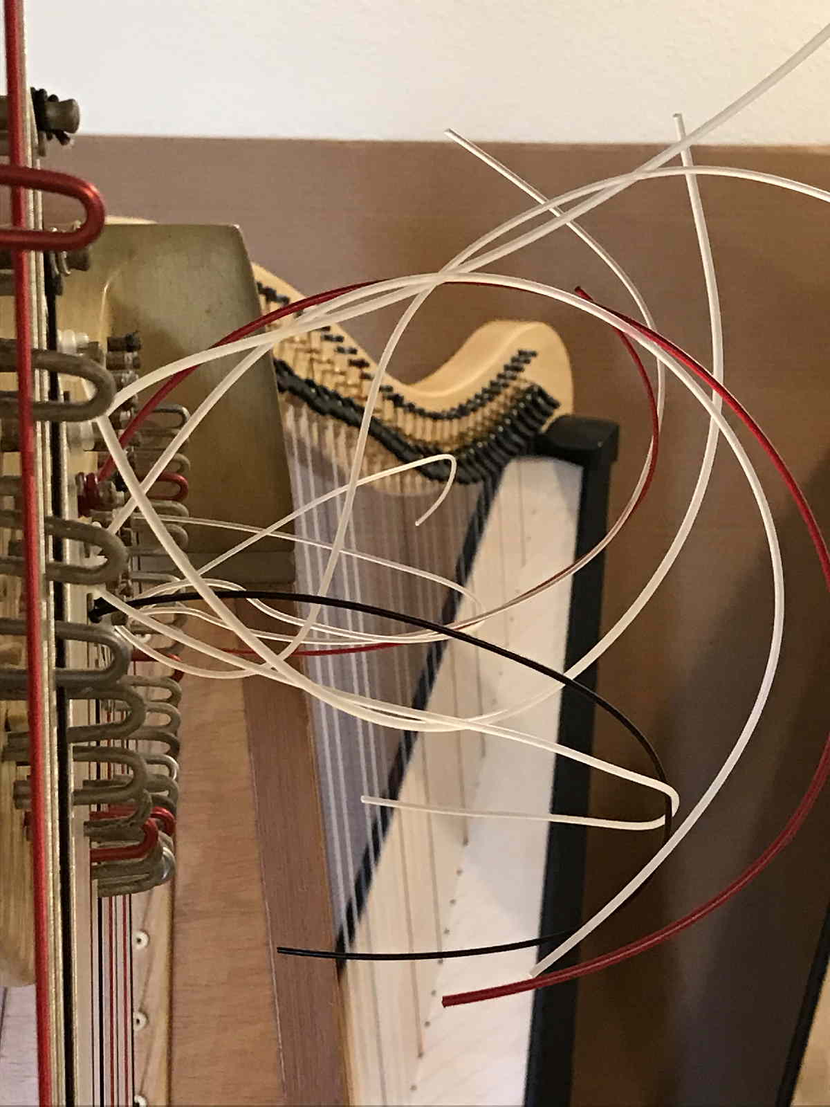 The Faces of “The Harp Store” – Folk Harp